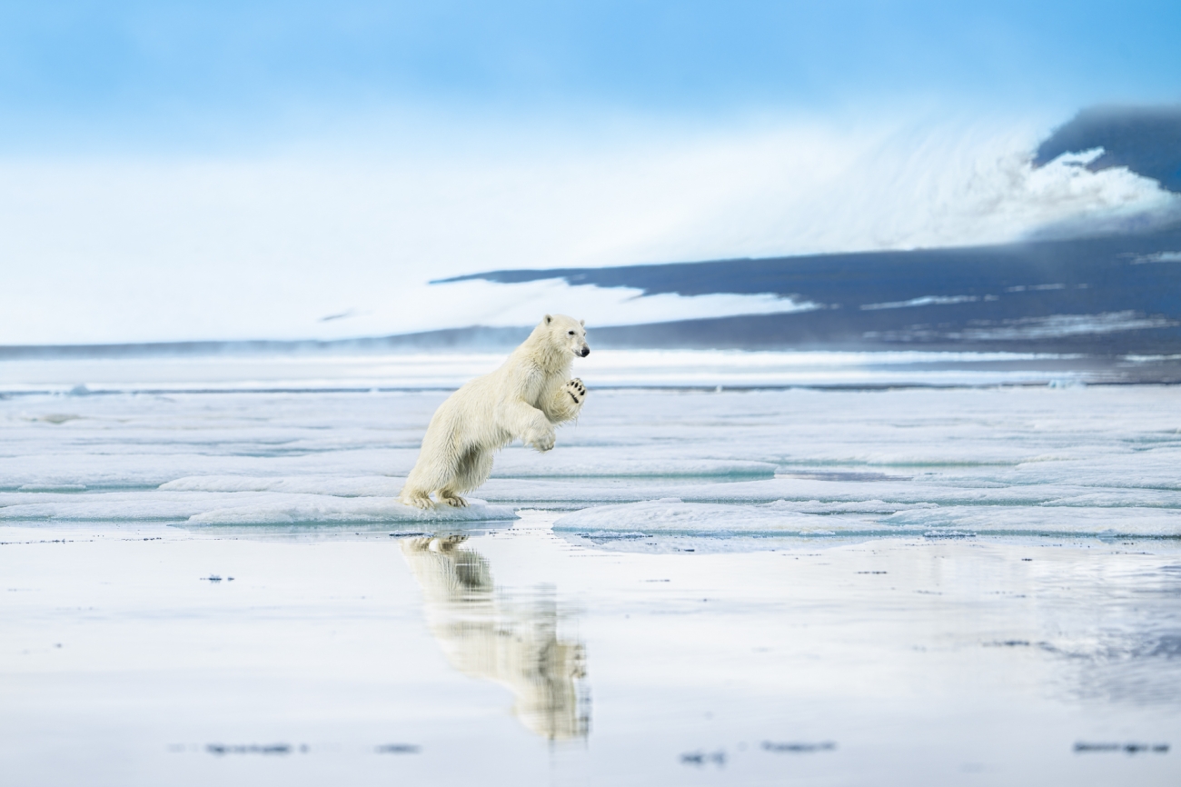 Gallery | Siena International Photo Awards