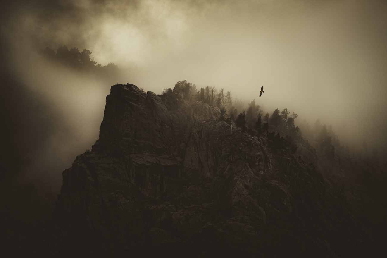 Gallery | Siena International Photo Awards