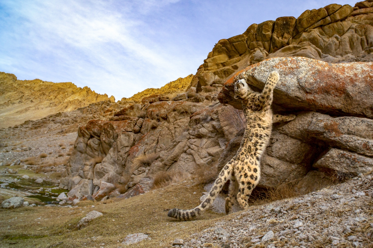 Gallery | Siena International Photo Awards
