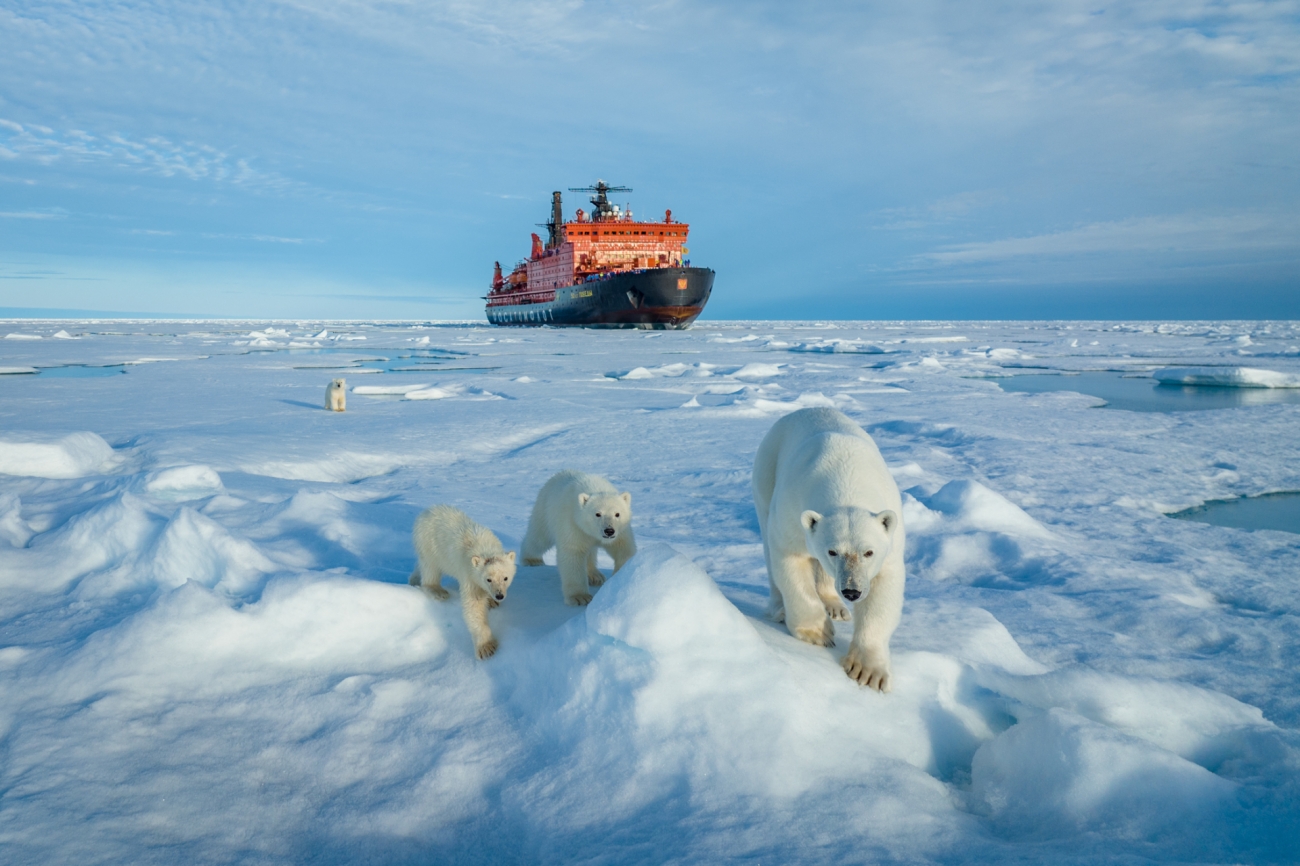Gallery | Siena International Photo Awards