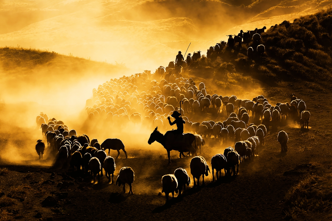 Gallery | Siena International Photo Awards