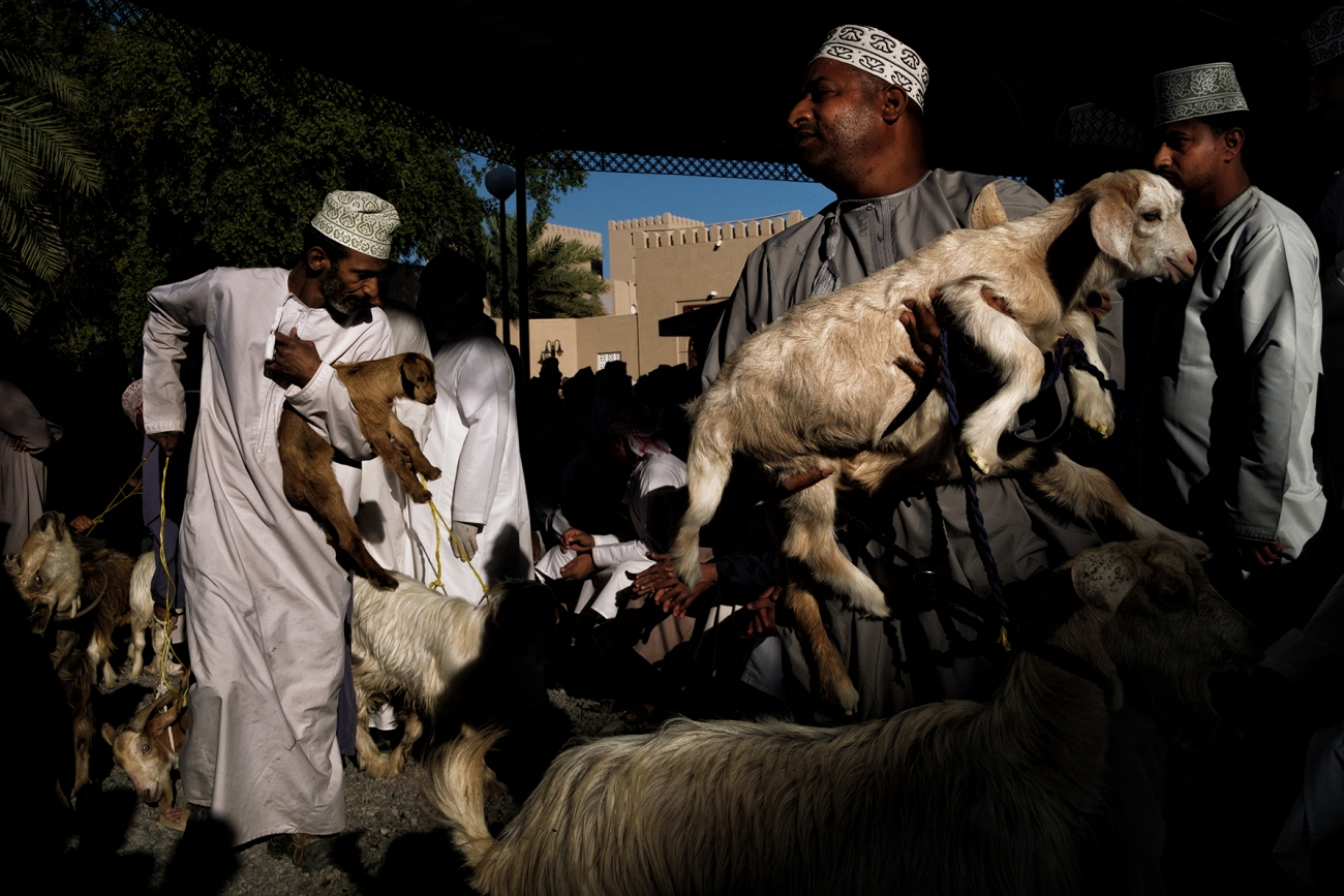 Gallery | Siena International Photo Awards