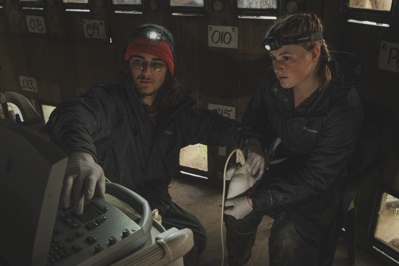 Gallery | Siena International Photo Awards