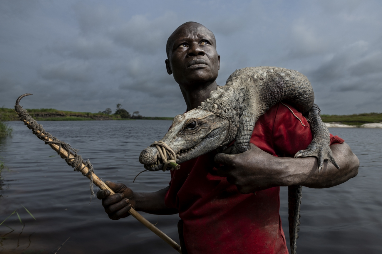 Gallery | Siena International Photo Awards