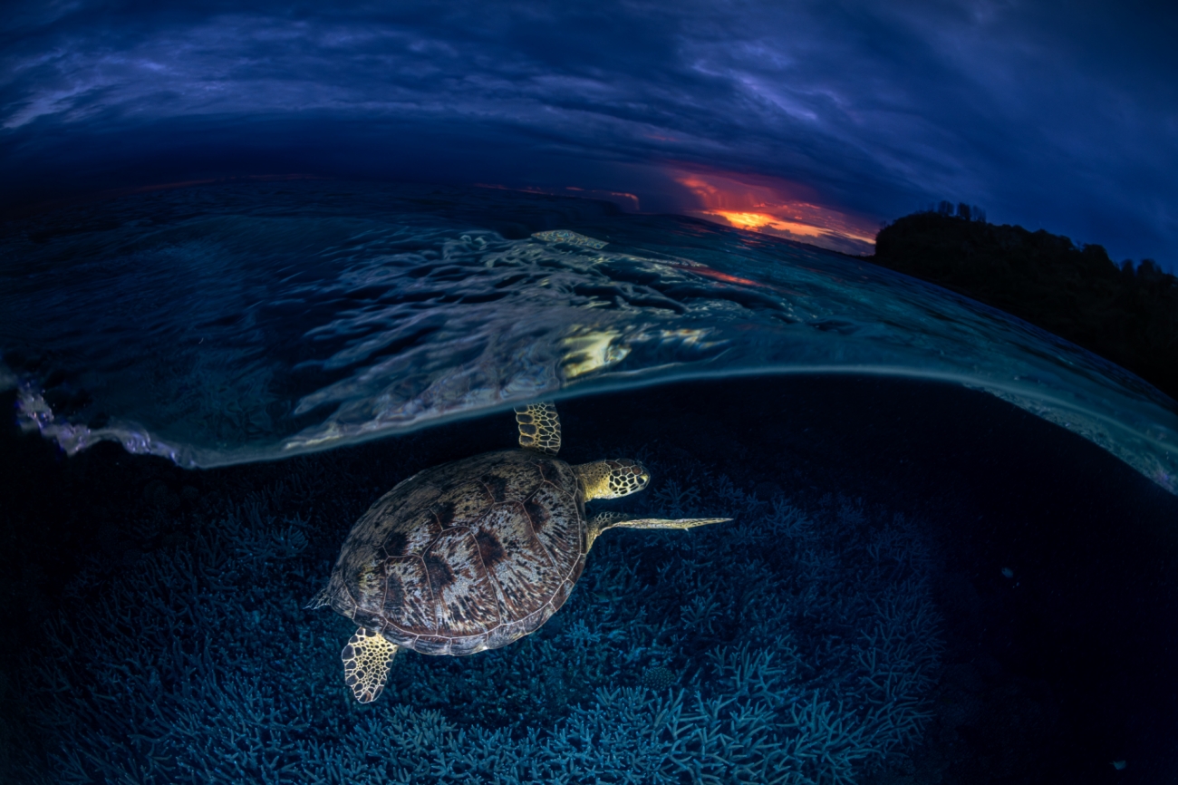 Gallery | Siena International Photo Awards