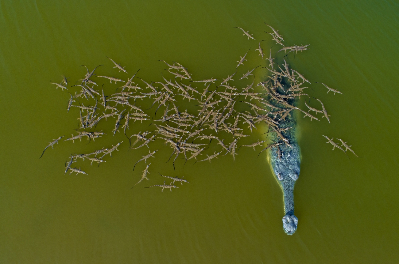 Gallery | Drone Photo Awards