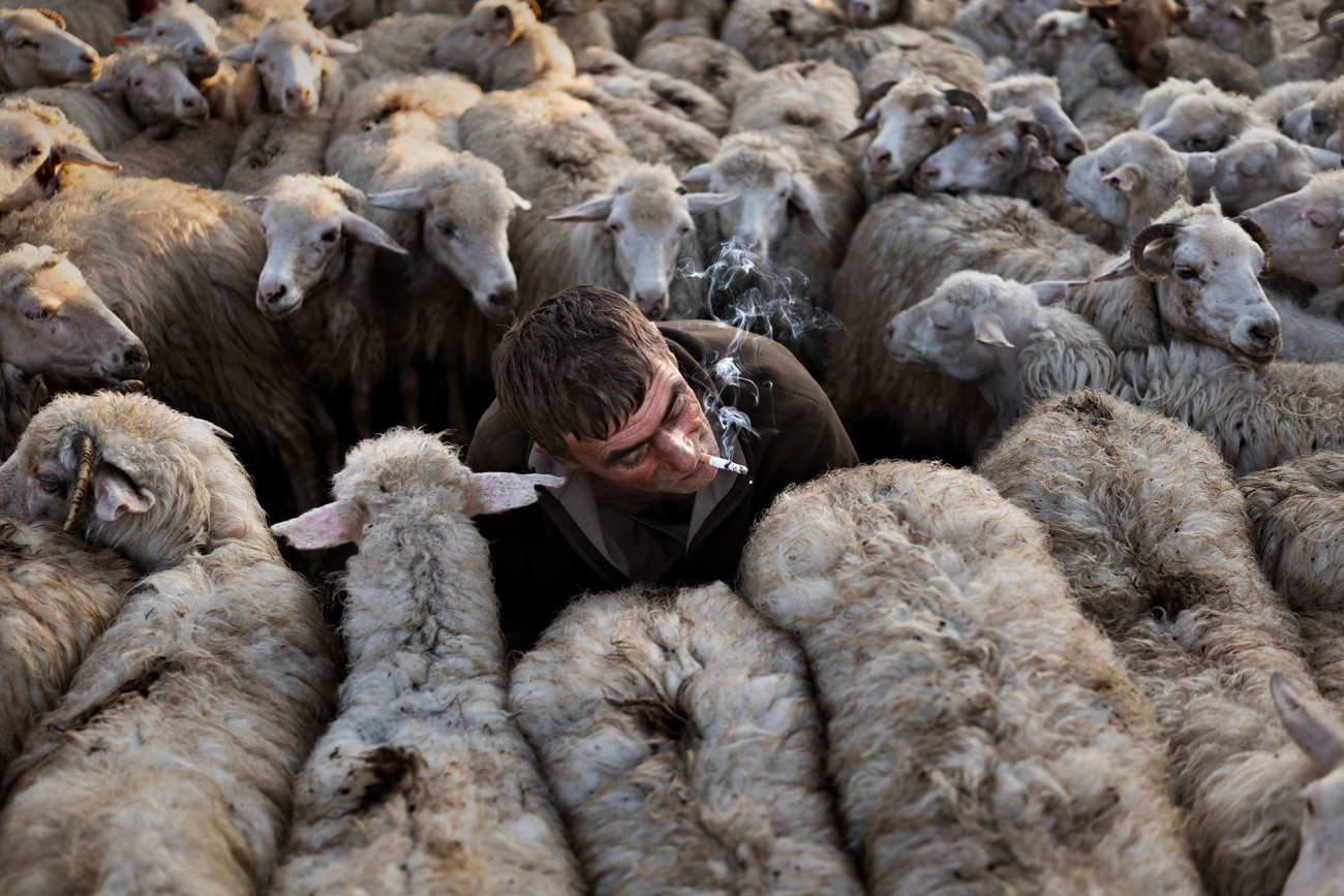 Gallery | Siena International Photo Awards