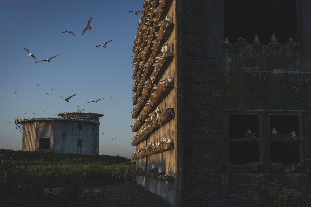 Gallery | Siena International Photo Awards